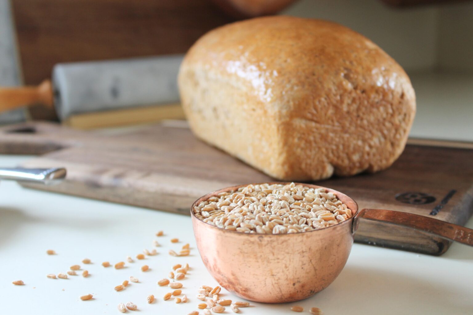 The Best Freshly Ground Homemade Whole Wheat Bread - The Fairview Farmhouse