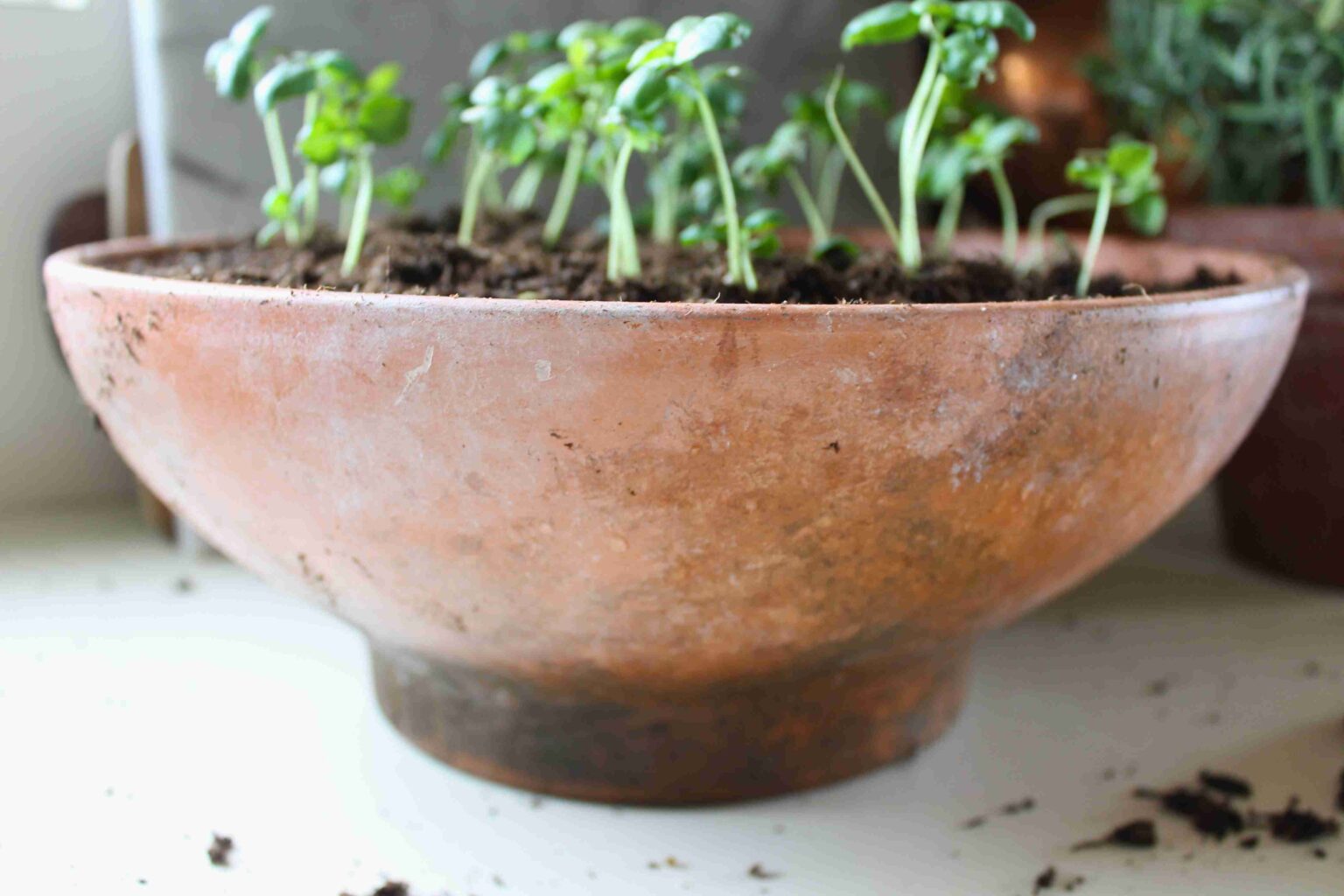 Easy DIY Vintage Terra Cotta Pot in Minutes - The Fairview Farmhouse